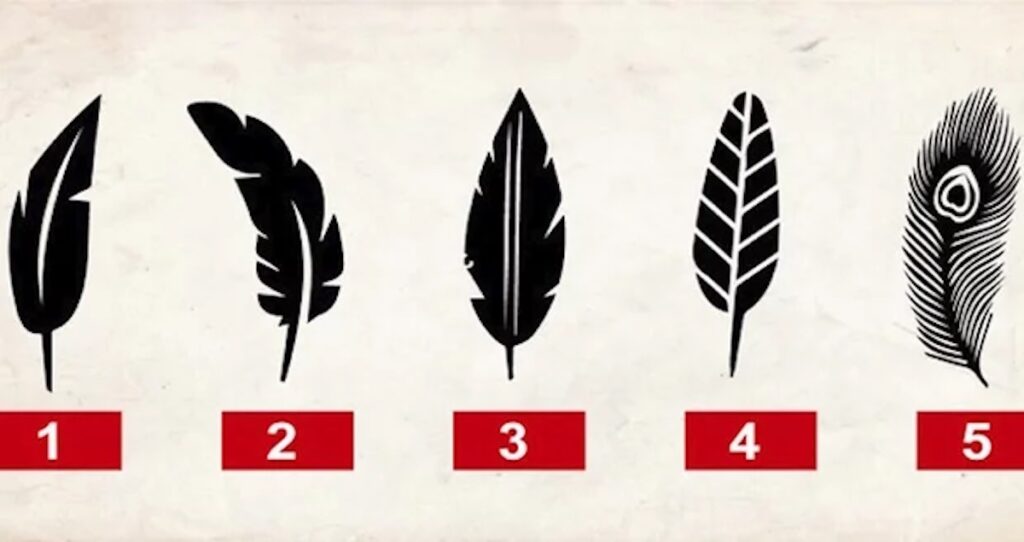 Test de personnalité : quelle plume vous correspond